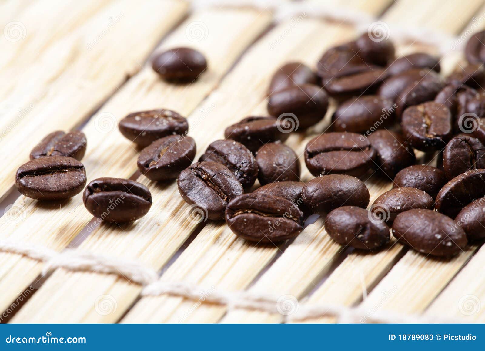 Fresh coffee beans stock photo. Image of agriculture - 18789080