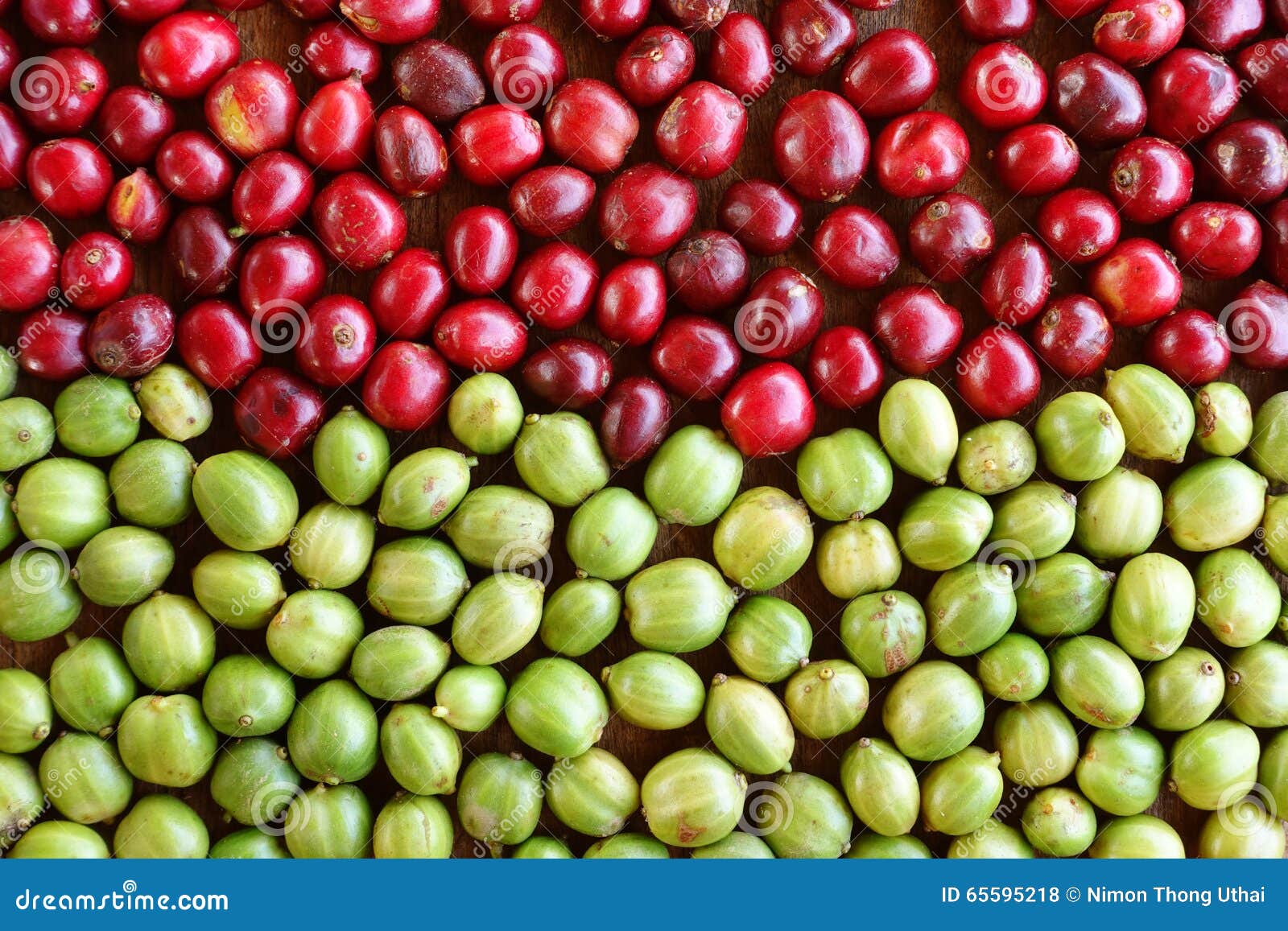 Fresh Coffee Beans before Roast Stock Photo - Image of aroma, land ...