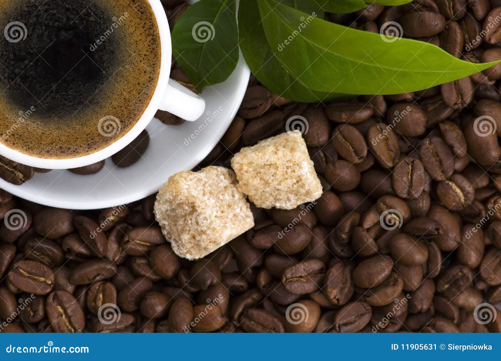Fresh Coffee with Coffee Branch Stock Image - Image of energy, leaf ...