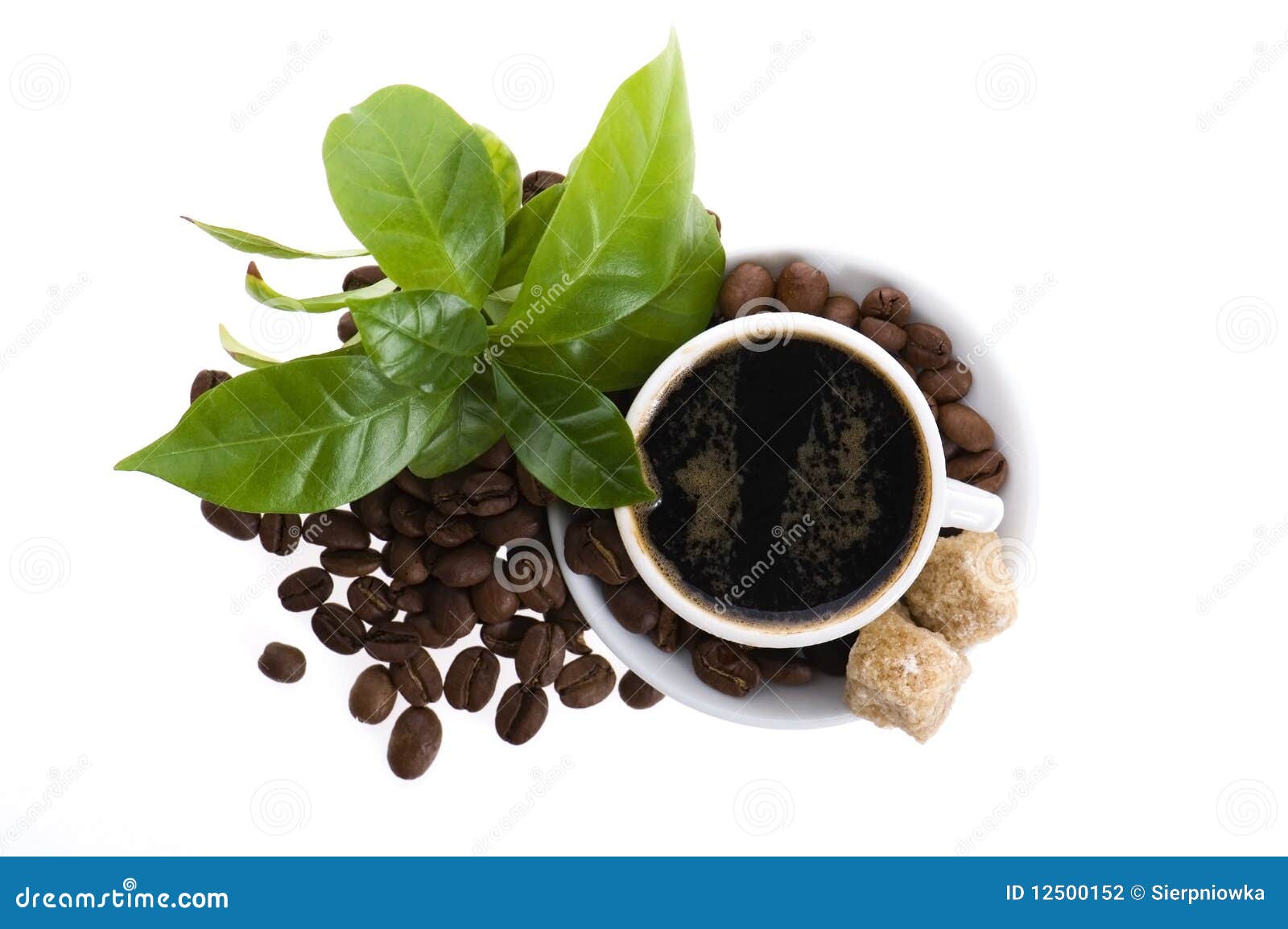 Fresh Coffee with Coffee Branch Stock Photo - Image of shop, fresh ...
