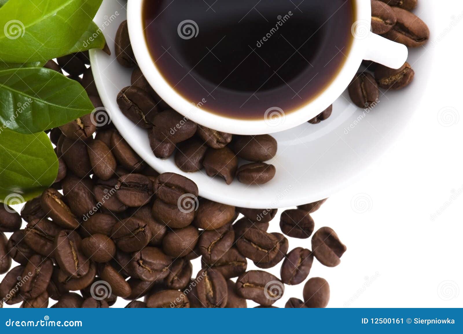 Fresh Coffee with Coffee Branch Stock Image - Image of dark, branch ...