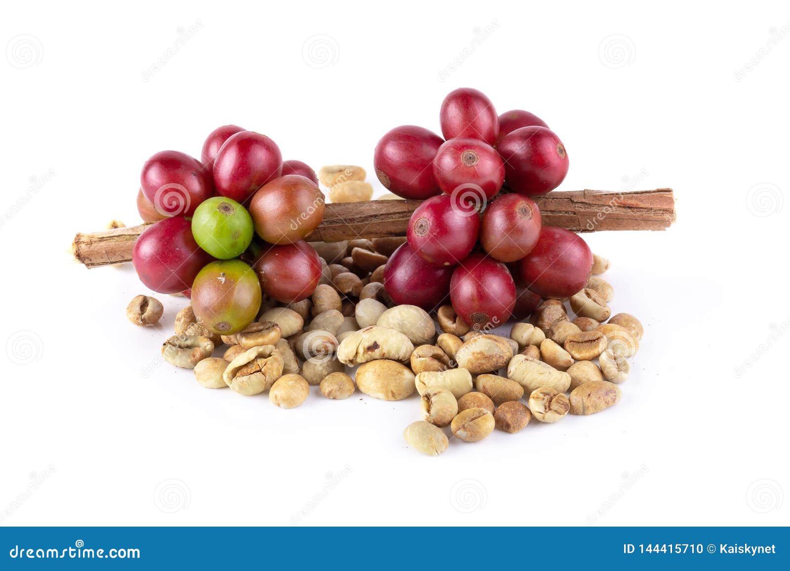 Fresh Coffee Red Berry Branch and Coffee Beans Isolated on White ...