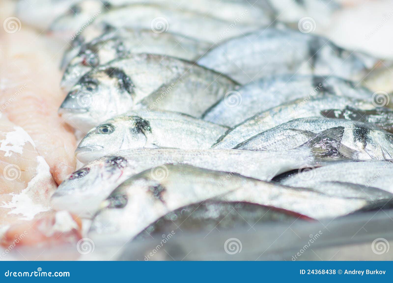 Fresh Cold Fish Lie on Ice in Supermarket Stock Photo - Image of fresh ...