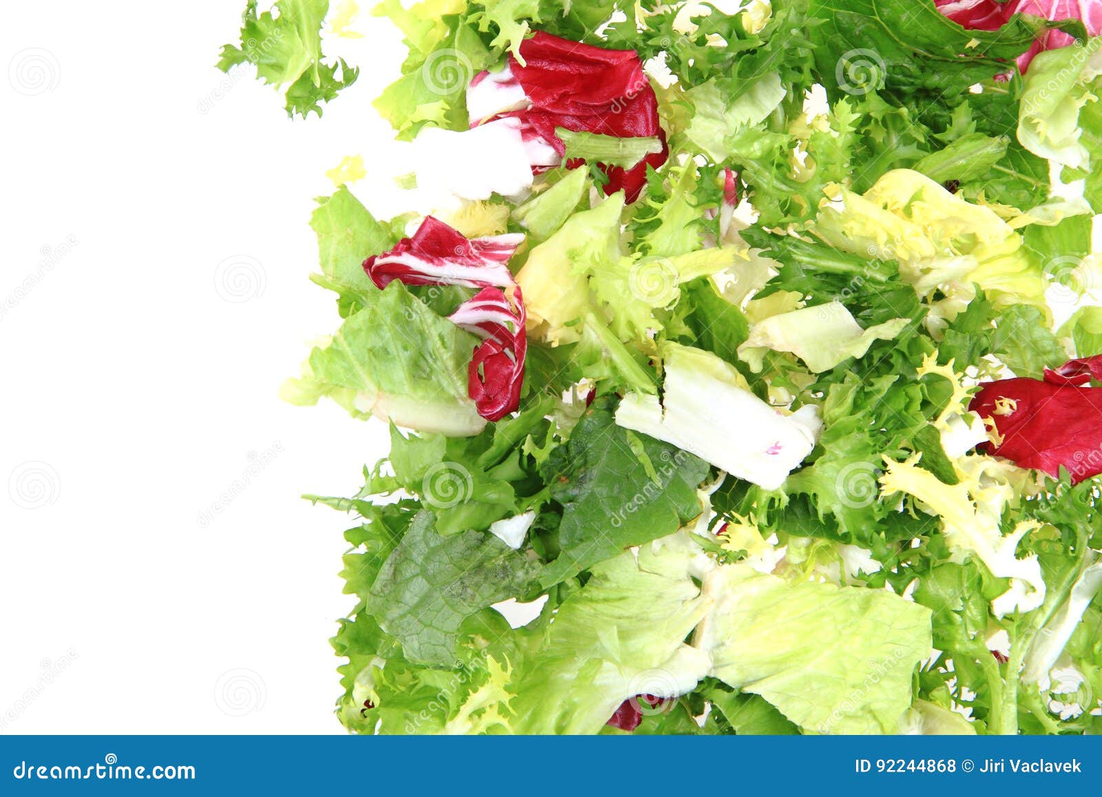 Fresh color lettuce stock photo. Image of vegetable, healthy - 92244868