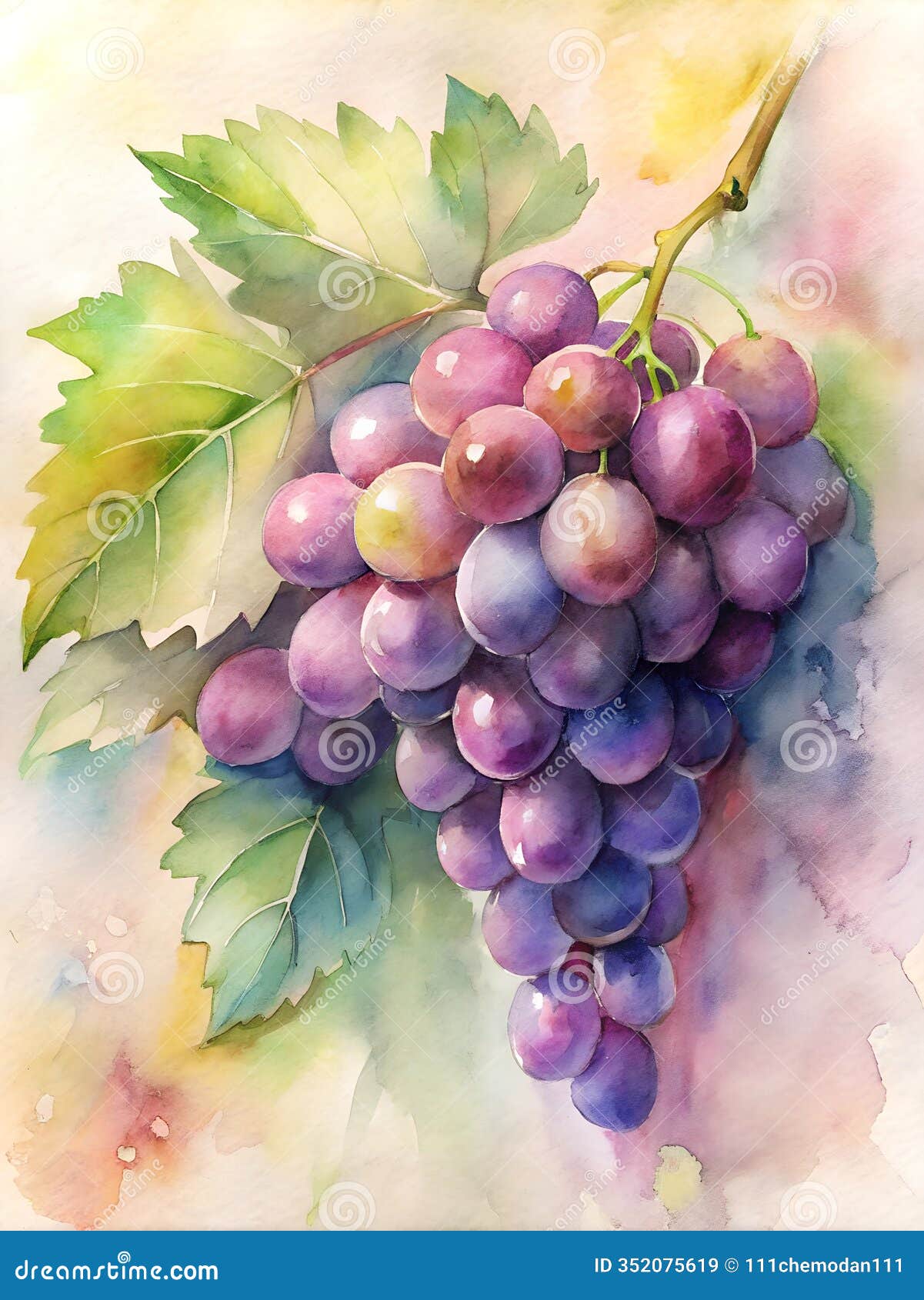 Fresh and Colorful Grape Cluster Painted in Watercolor Stock ...