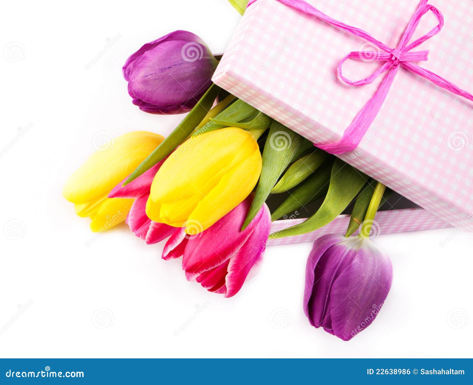 Fresh Colorful Tulips in a Box Stock Photo - Image of romantic ...