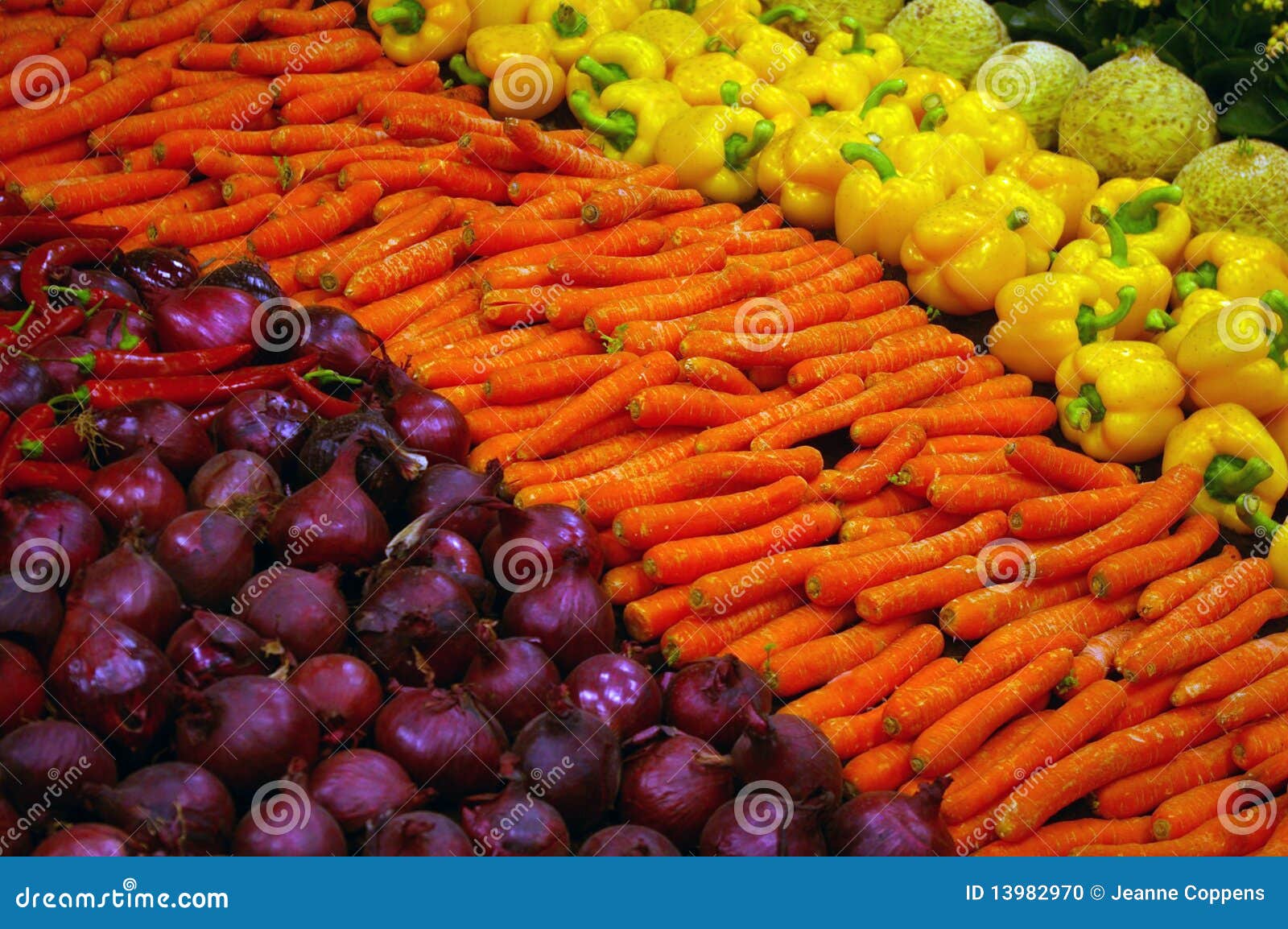 Fresh colorful vegetables. stock photo. Image of carrots - 13982970