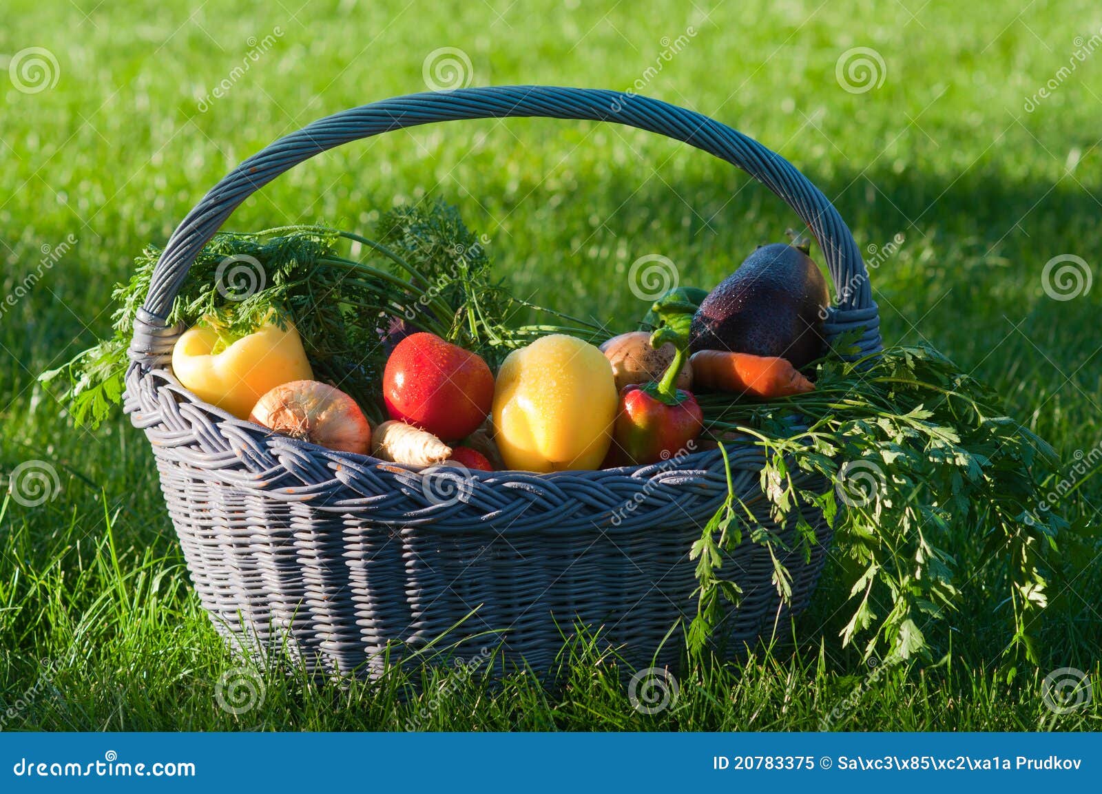 Fresh colorful vegetables stock image. Image of sunny - 20783375