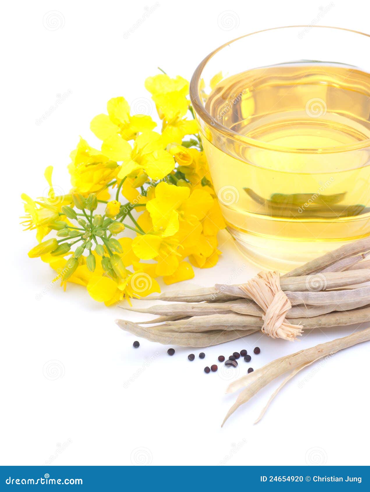 Fresh colza oil stock photo. Image of conservation, seed - 24654920