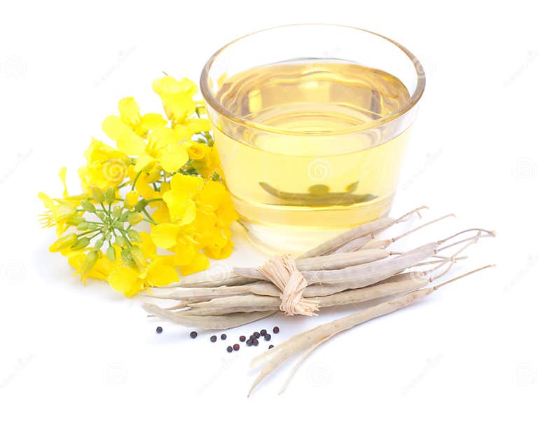 Fresh colza oil stock photo. Image of environment, agriculture - 24696416