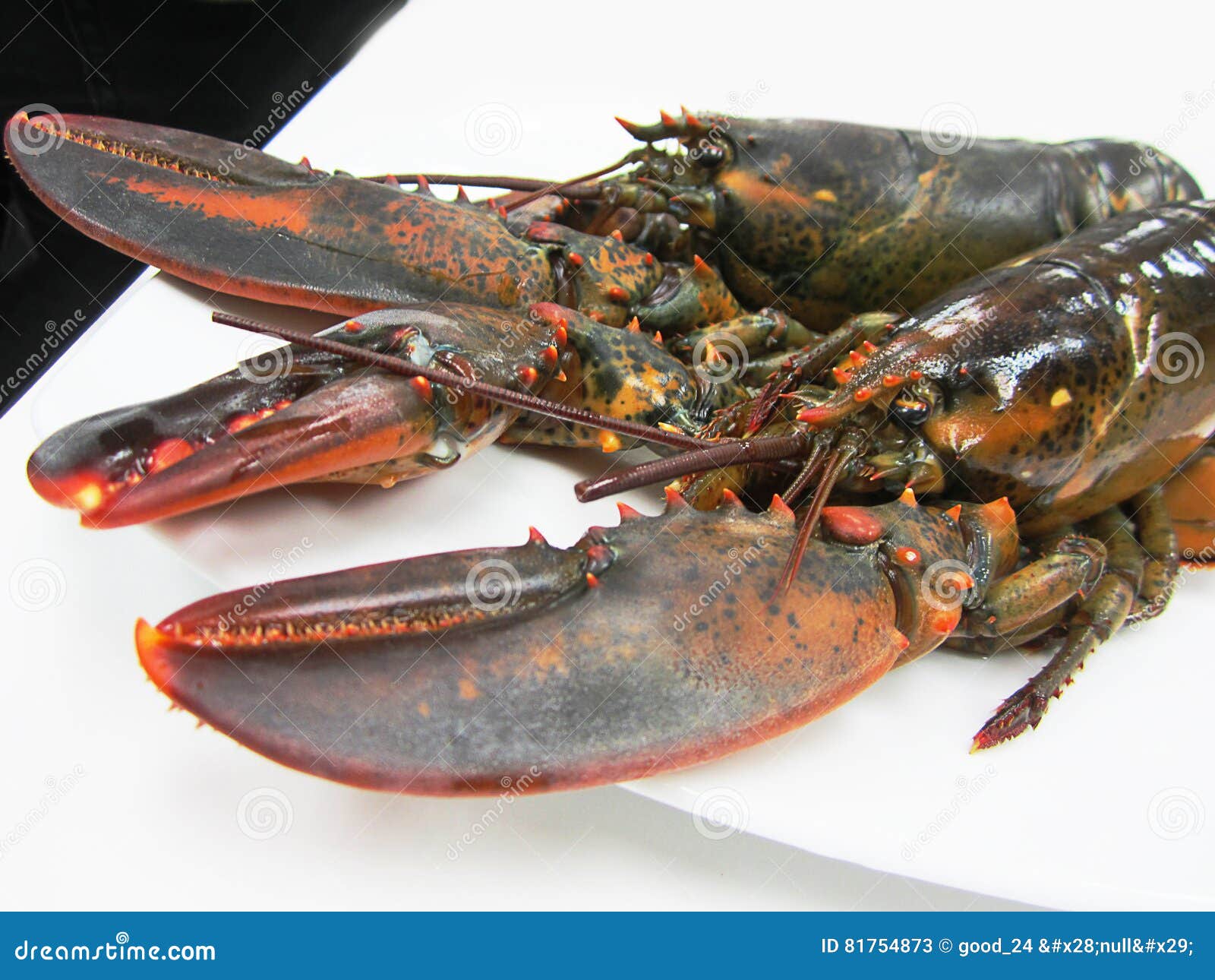 Fresh common lobster. stock image. Image of dining, black - 81754873