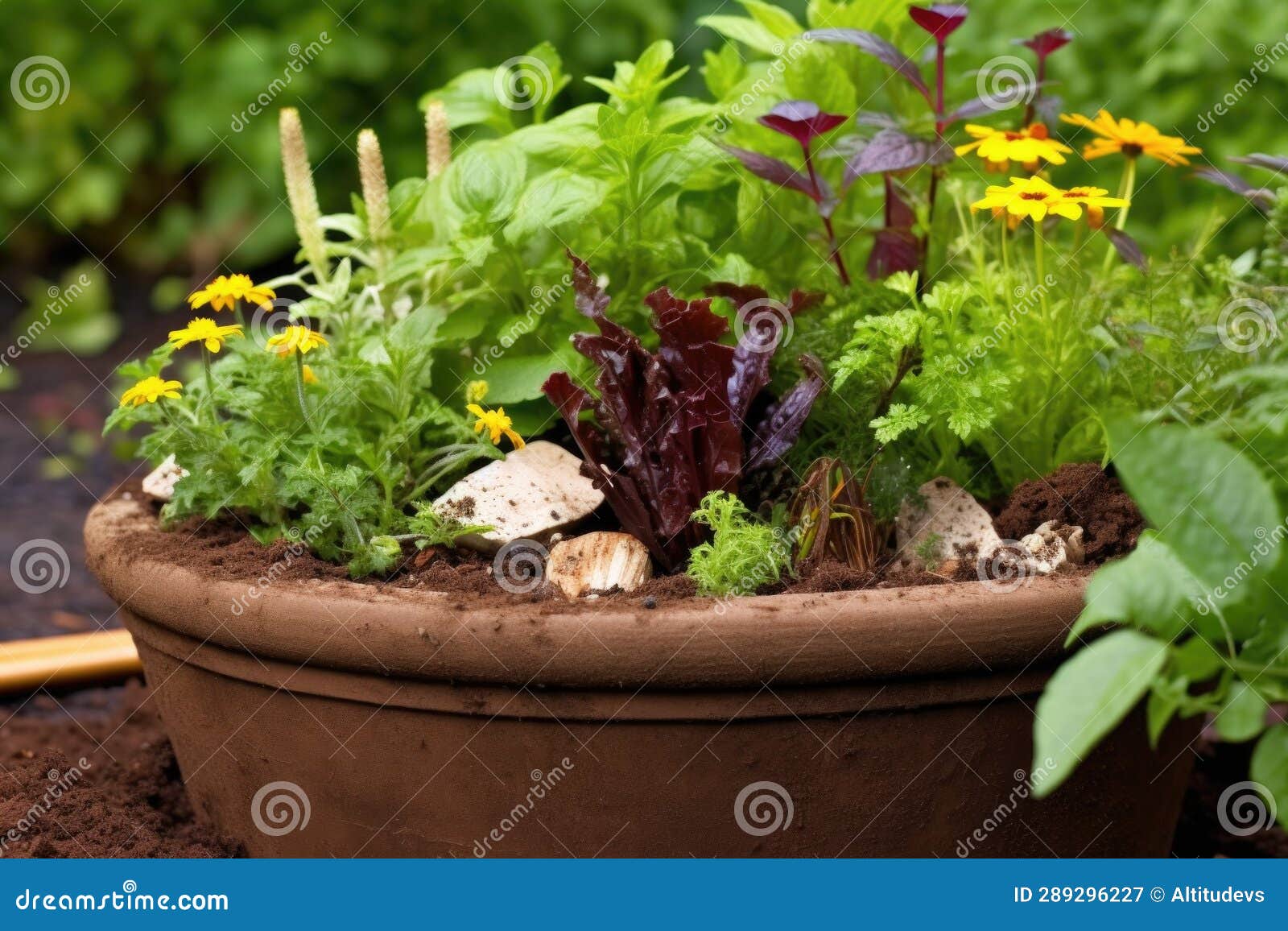 Fresh Compost Mixed with Soil in a Planter Stock Image - Image of ...