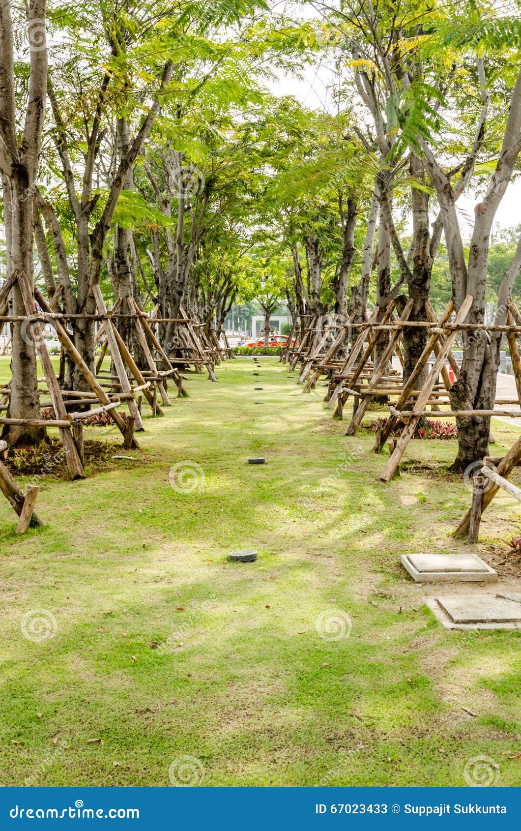 Fresh Condition and Green Leaves on Green Background Stock Image ...