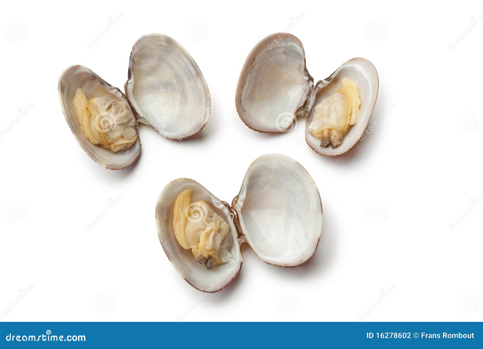 6,802 Cooked Clams Photos - Free & Royalty-Free Stock Photos from ...