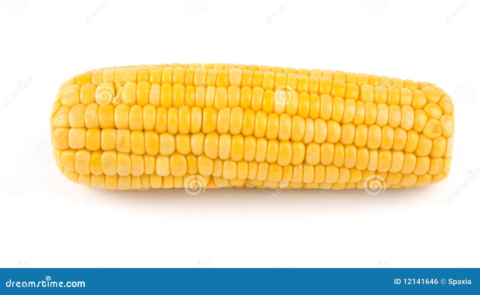 Fresh cooked corn cob stock photo. Image of cooked, color - 12141646