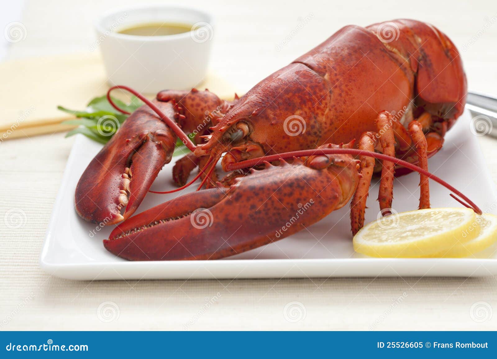 Fresh cooked lobster stock image. Image of cooked, seafood - 25526605