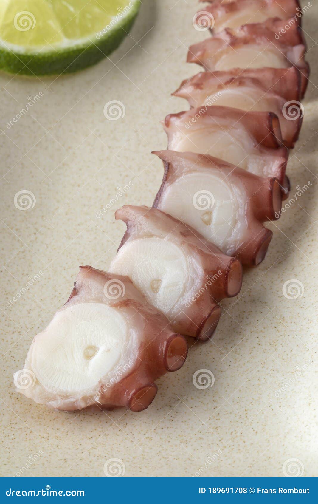 Fresh Cooked Octopus Tentacle in Slices Stock Photo - Image of limb ...