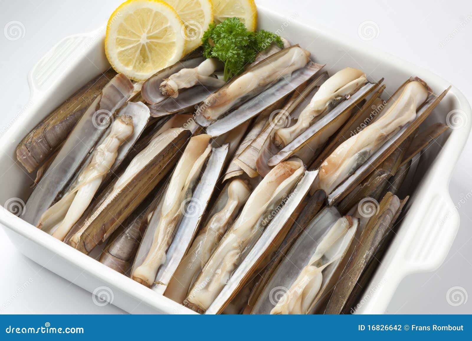 Fresh cooked razor shells stock photo. Image of clams - 16826642