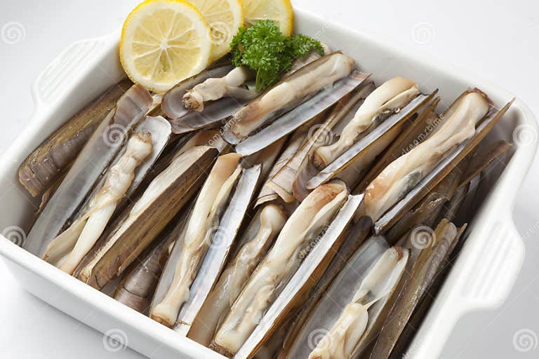 Fresh cooked razor shells stock photo. Image of clams - 16826642