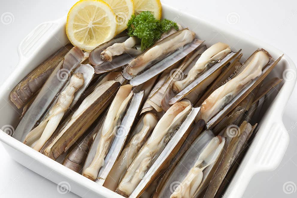 Fresh cooked razor shells stock photo. Image of clams - 16826642