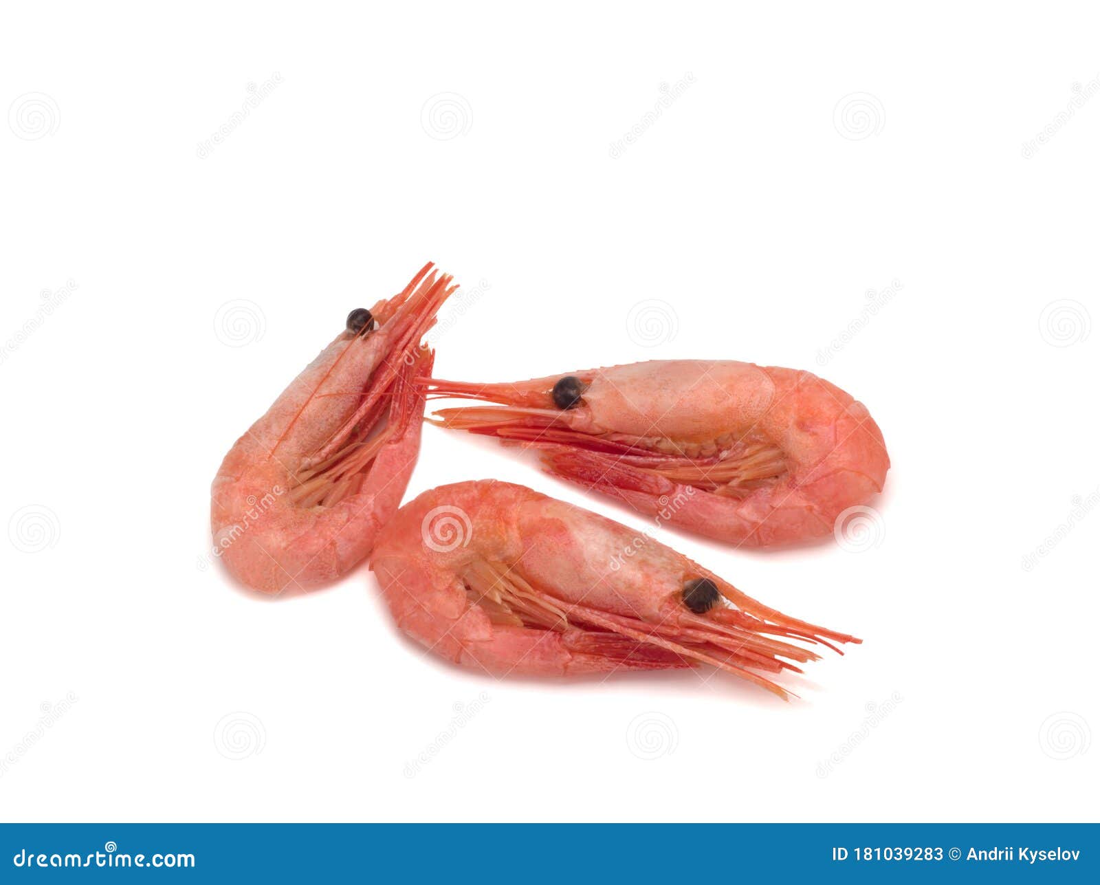 Fresh Cooked Shrimp on White Background Stock Image - Image of meal ...