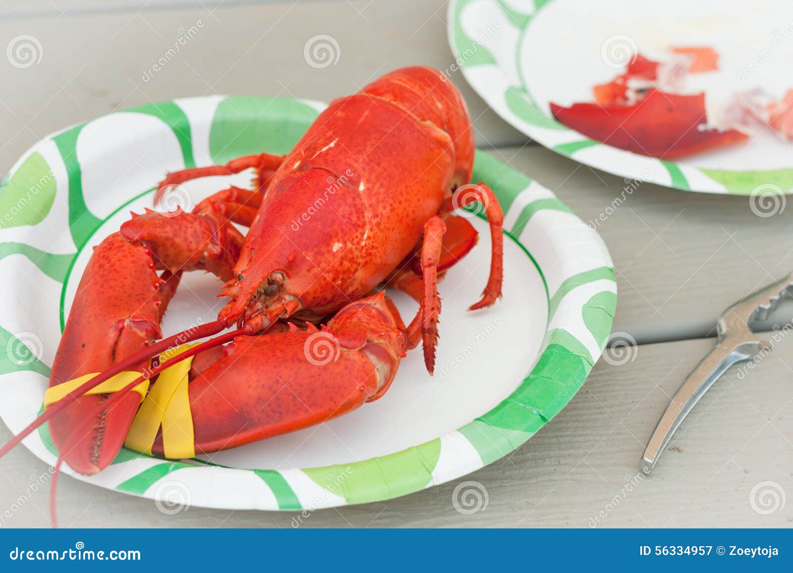 Fresh cooked whole lobster stock image. Image of disposable - 56334957