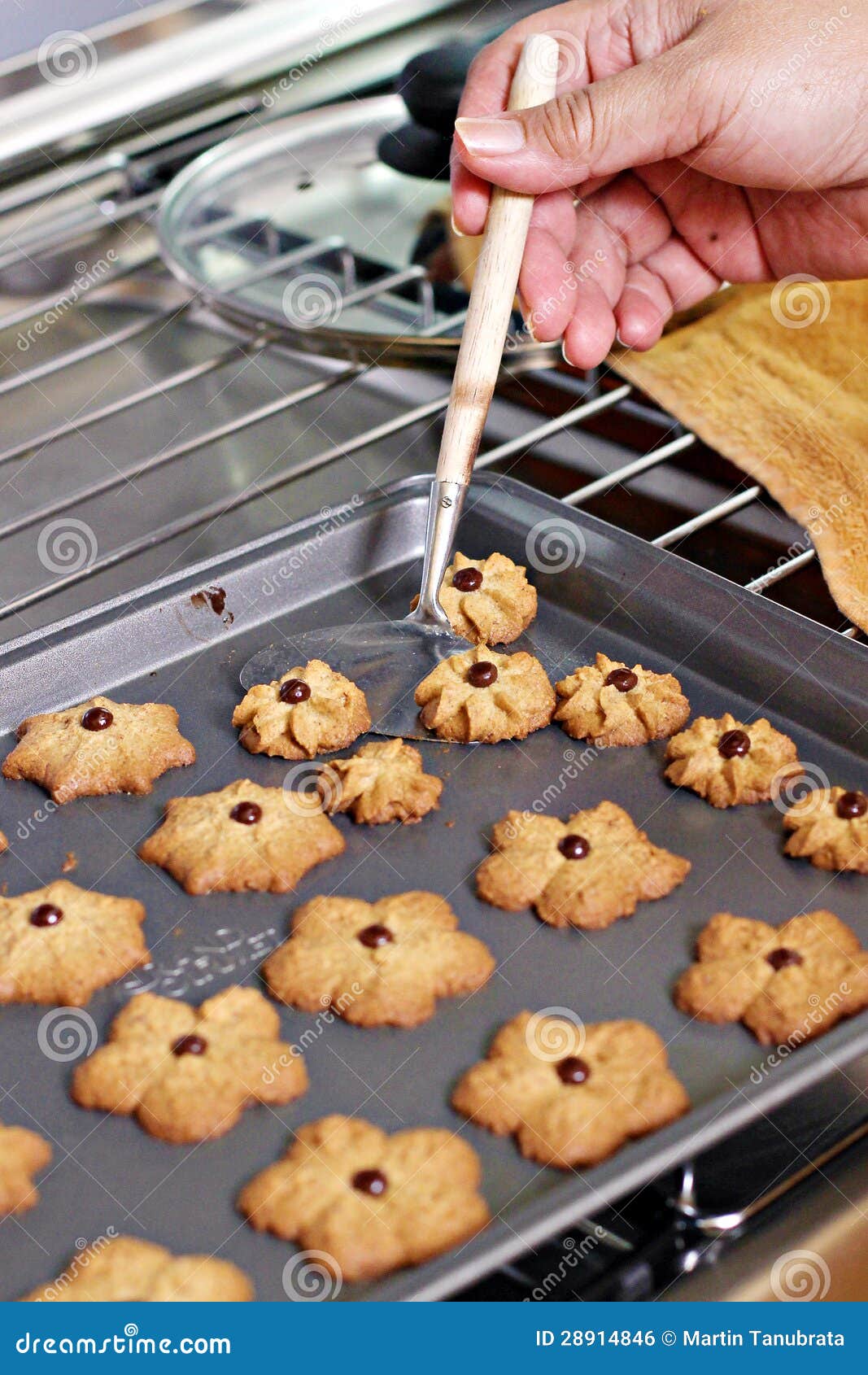 Fresh cookies stock photo. Image of cooking, cook, metal - 28914846