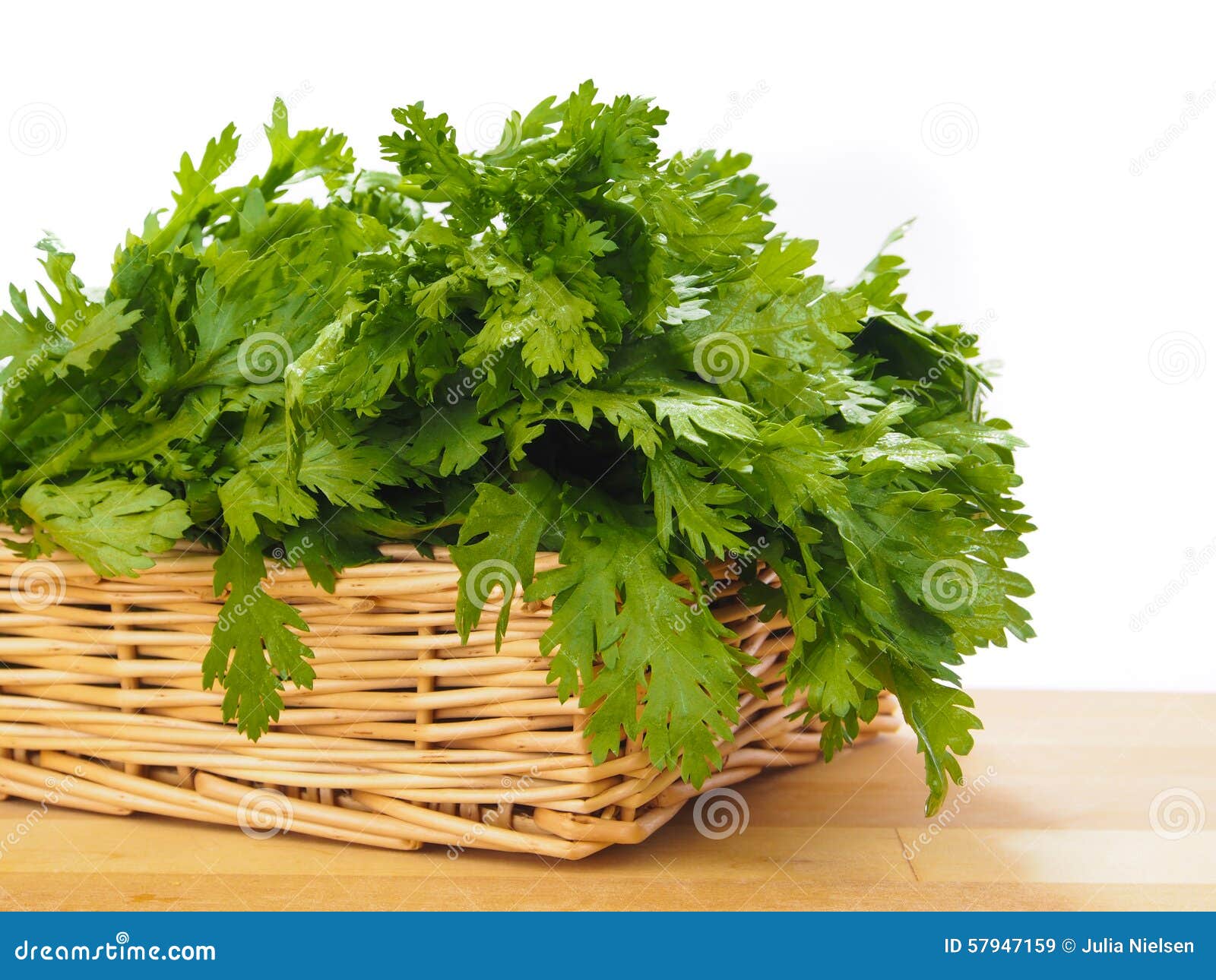 Fresh coriander stock image. Image of basket, vegetarian - 57947159