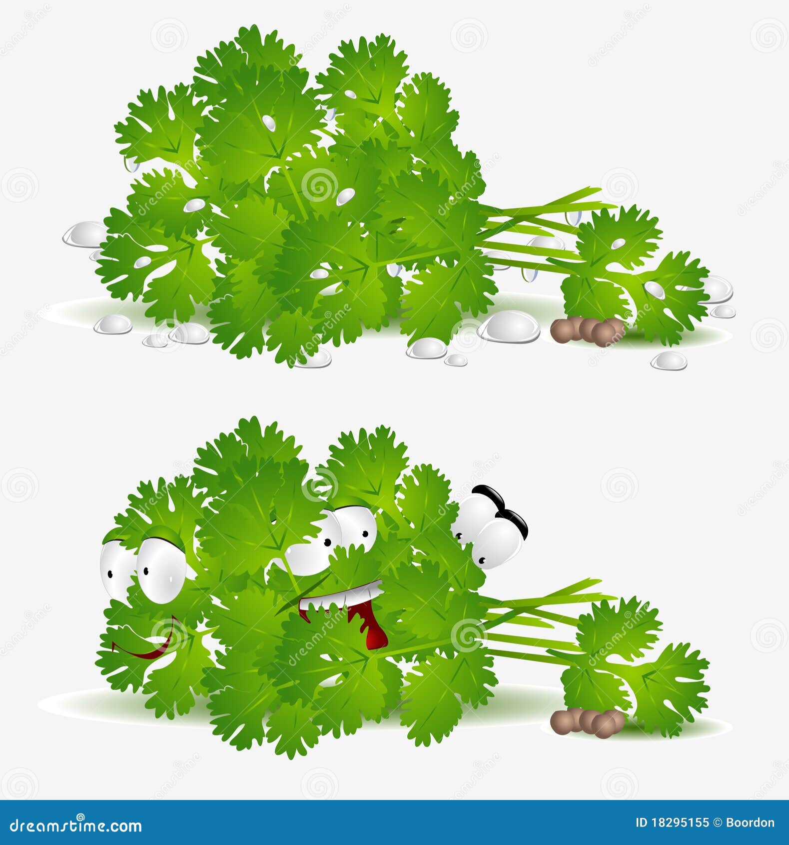 Fresh coriander character stock vector. Illustration of glossy - 18295155