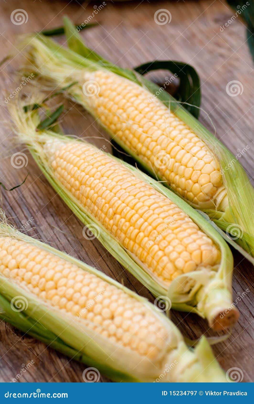 Fresh corn stock image. Image of organic, ripe, natural - 15234797