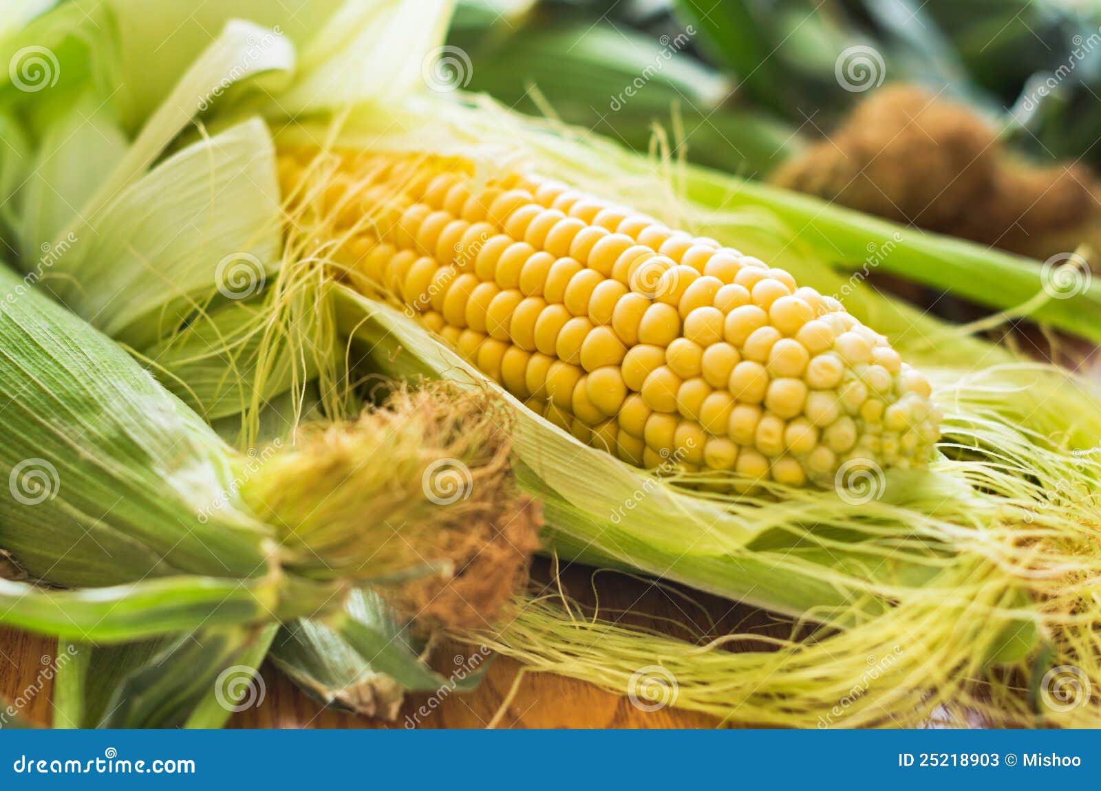 Fresh corn stock image. Image of vegetable, crop, harvest - 25218903