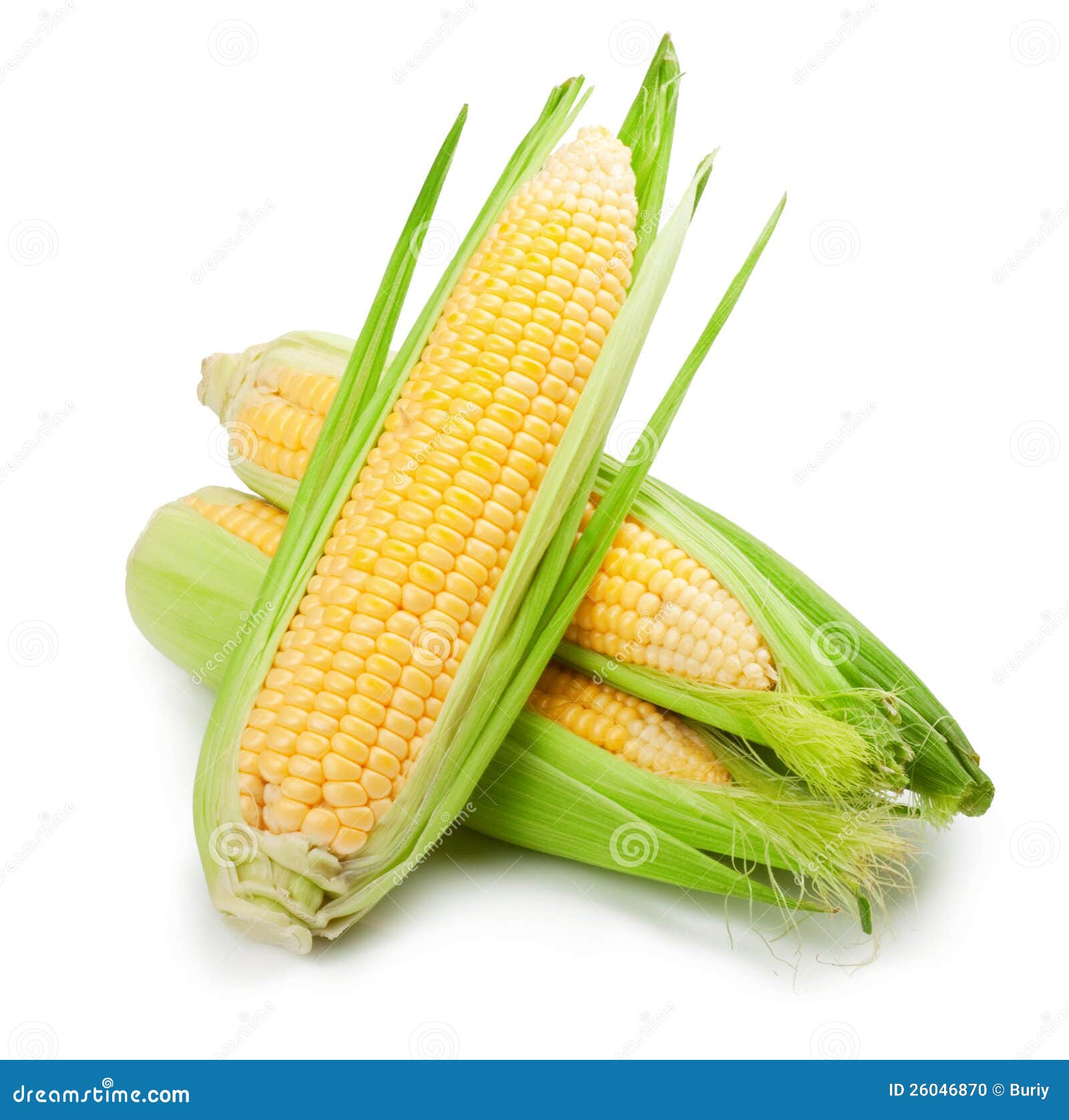 Fresh corn stock photo. Image of meals, ripe, white, vegetarian - 26046870