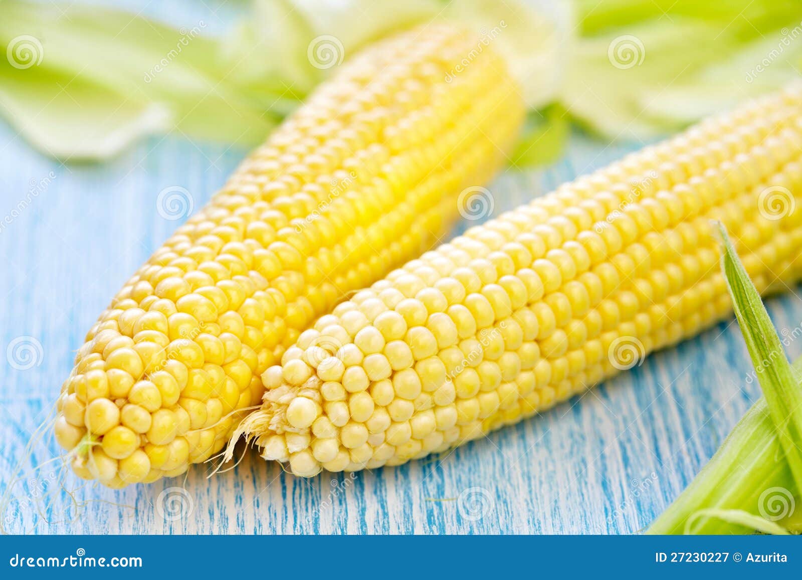 Fresh corn stock image. Image of green, seed, agriculture - 27230227