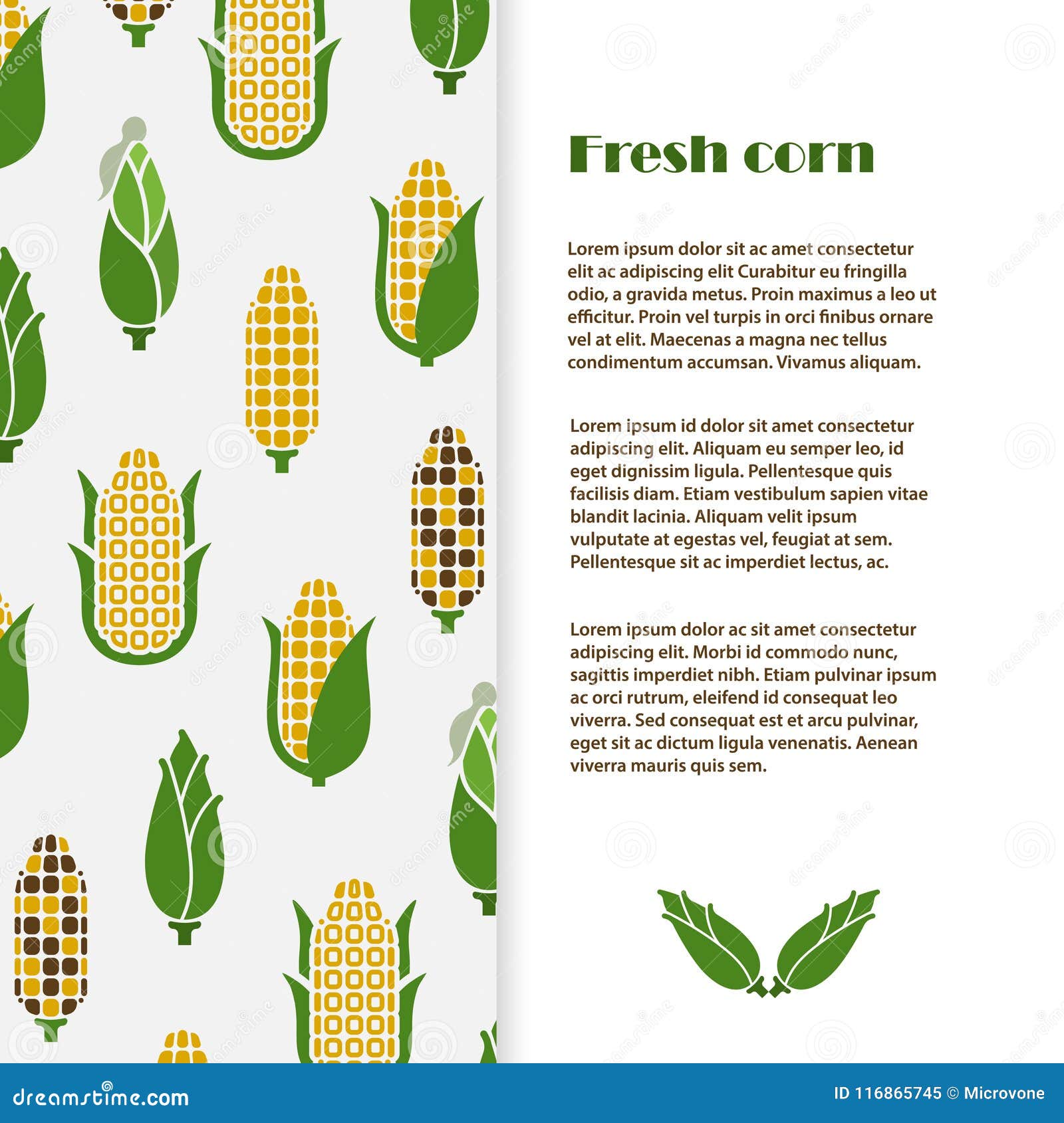 Fresh Corn Banner Template Design. Vector Harvest Flyer Stock Vector ...