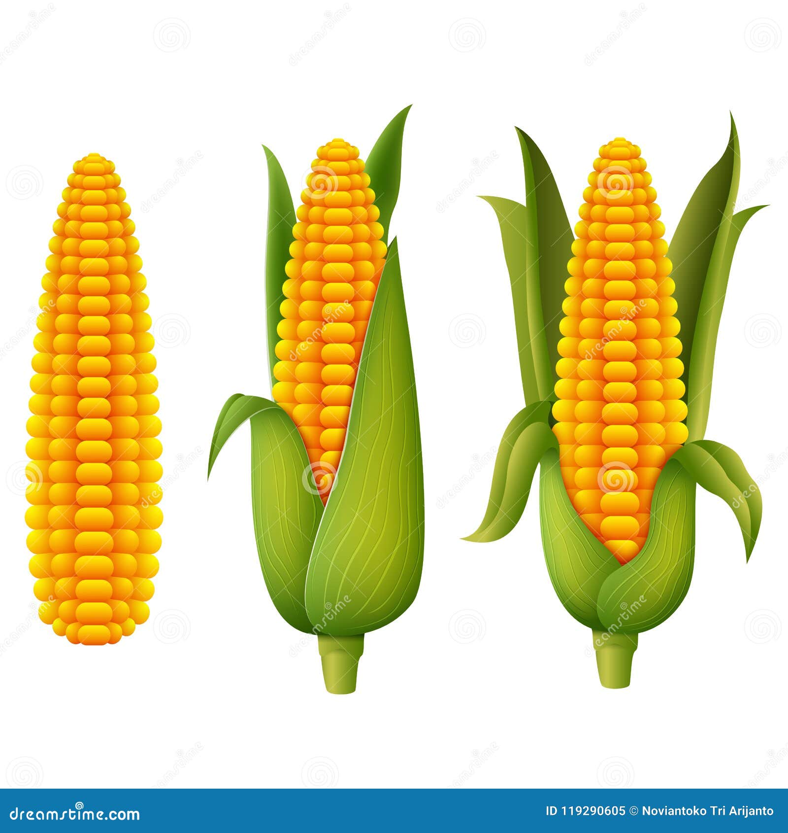 Fresh corn cartoon stock vector. Illustration of produce - 119290605