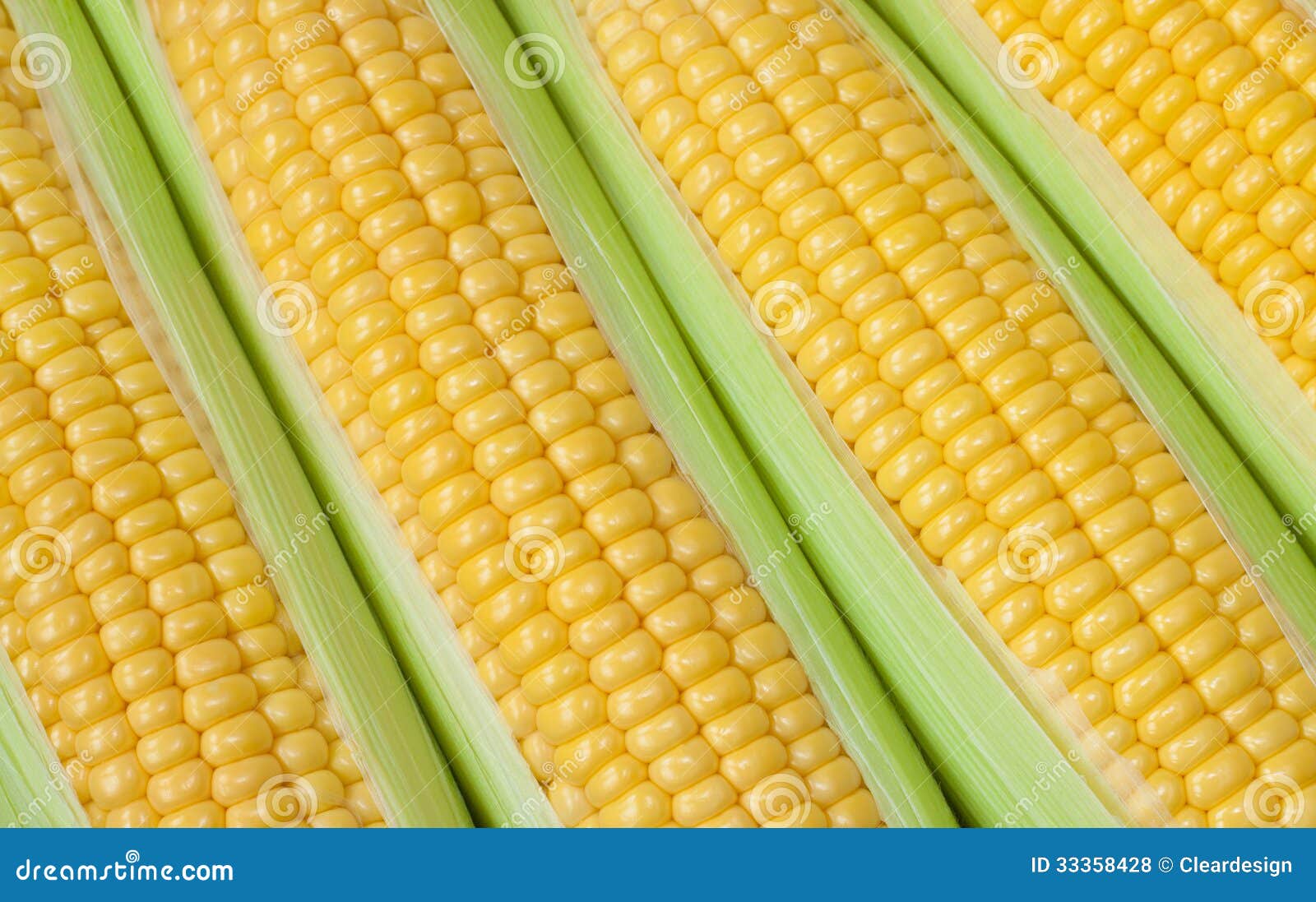 Fresh corn cob background stock photo. Image of design - 33358428