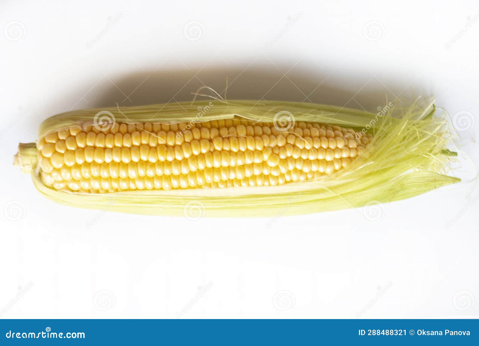 Fresh Corn Cob. Corn Ears with Leaves on White Background Stock Image ...