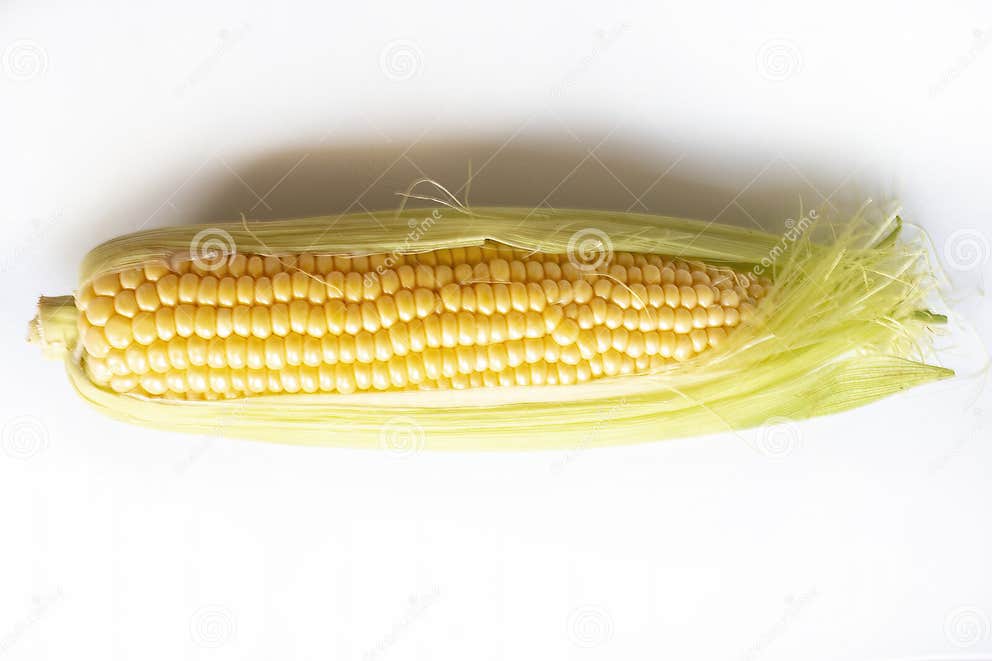 Fresh Corn Cob. Corn Ears with Leaves on White Background Stock Image ...