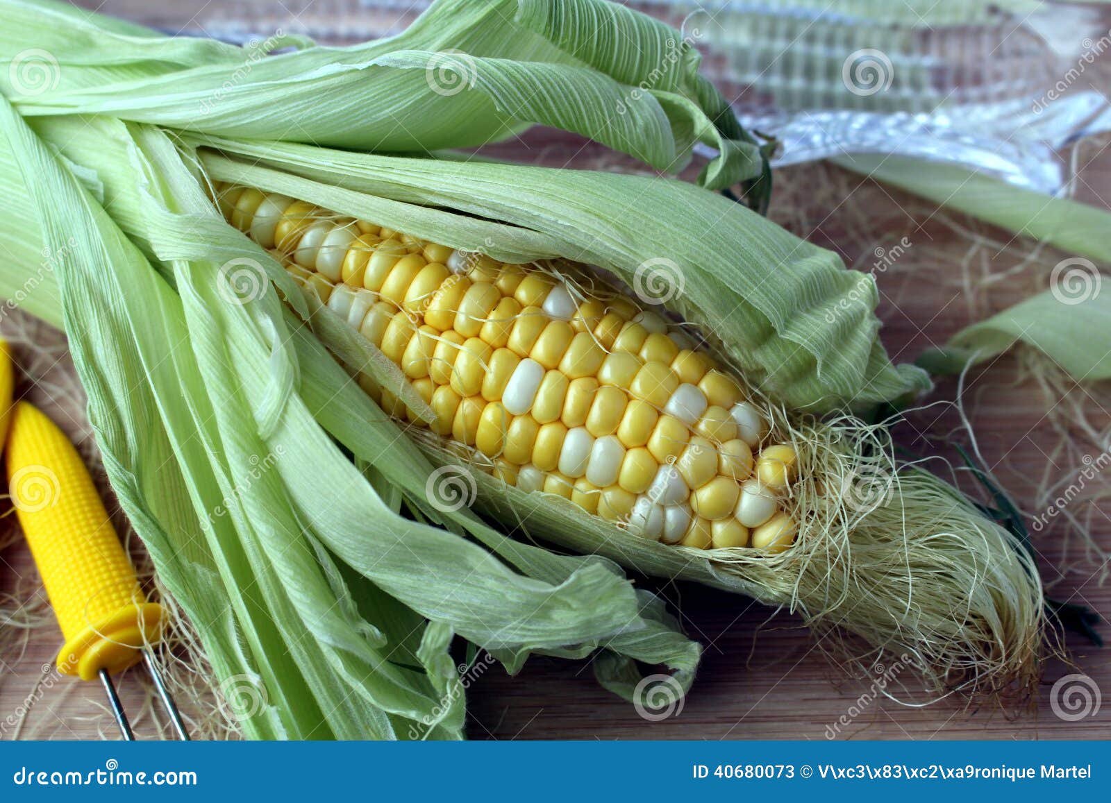 Fresh Corn Cob Half Open in His Leaves Stock Image - Image of white ...