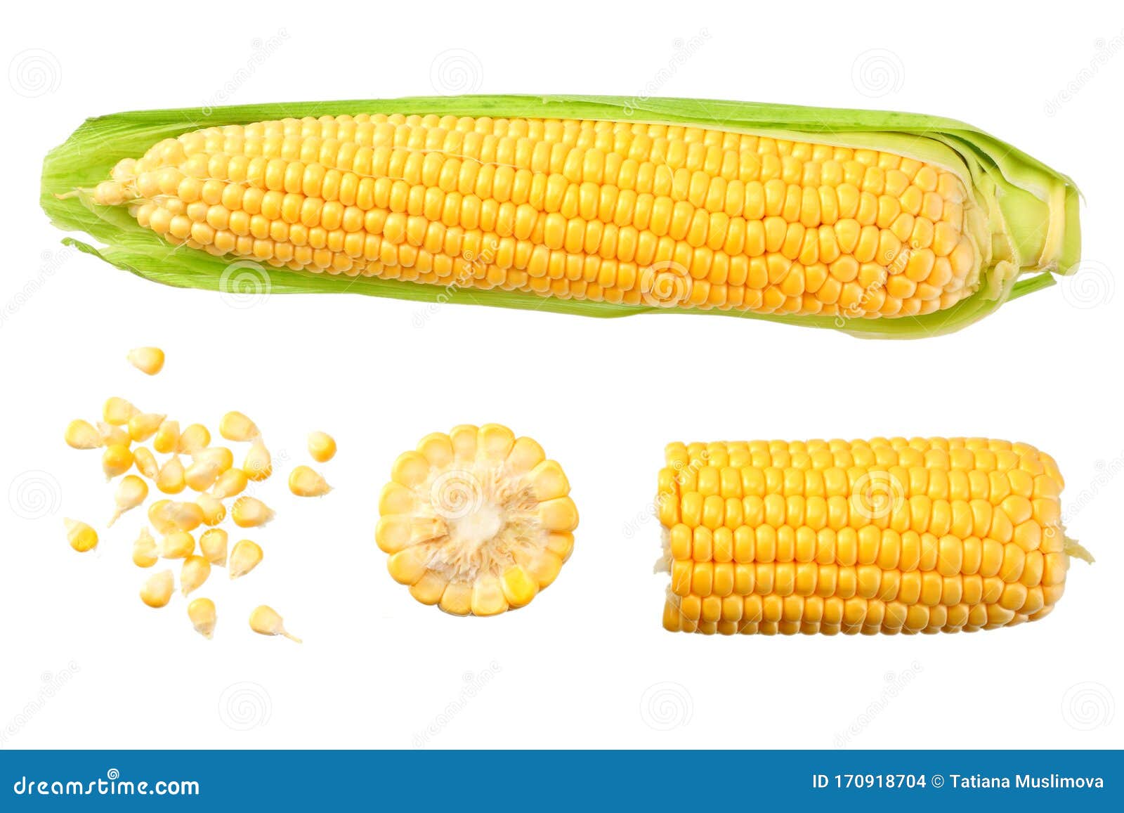 Fresh Corn on Cob Isolated on White Background Stock Photo - Image of ... Fresh Corn on Cob Isolated on White Background Stock Photo - Image of ...