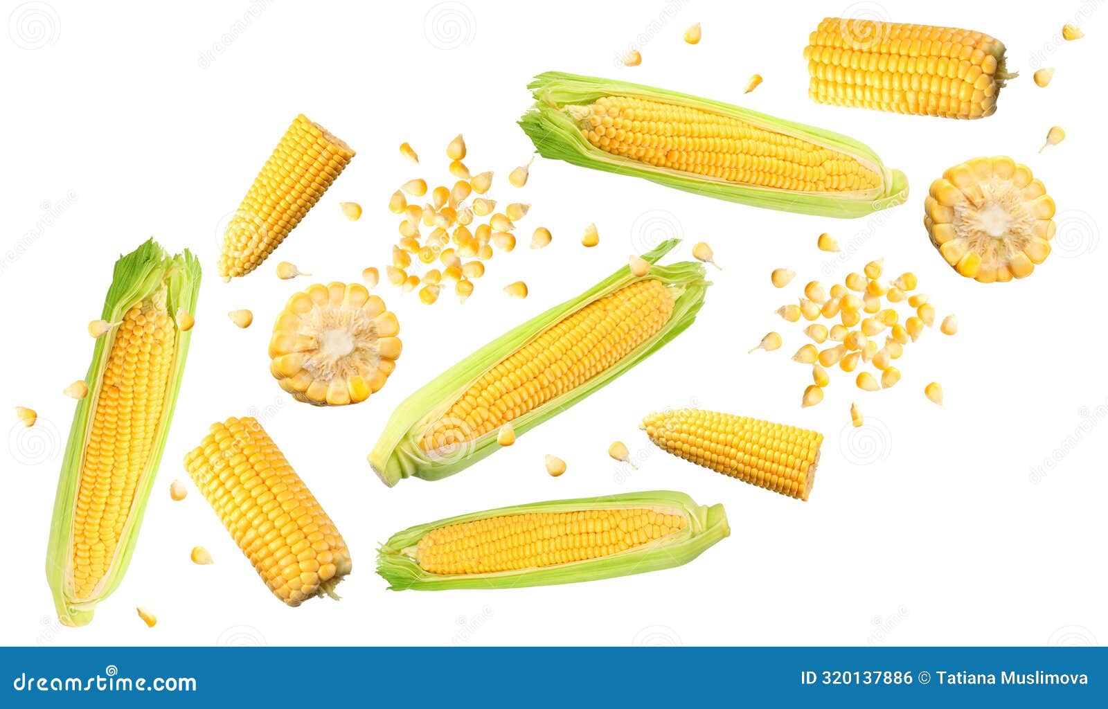 Flying Corn on Cob with Seeds Isolated on White Background. Clipping ...