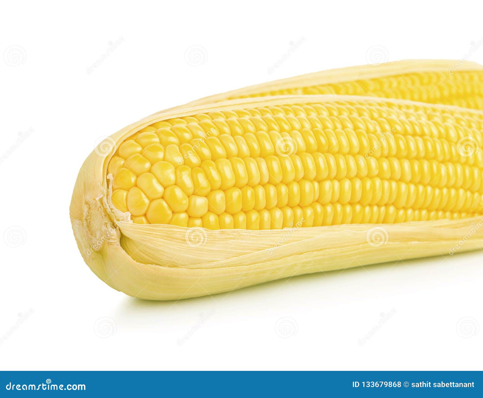 Fresh Corn on the Cob Isolated on White Background Stock Photo - Image ...