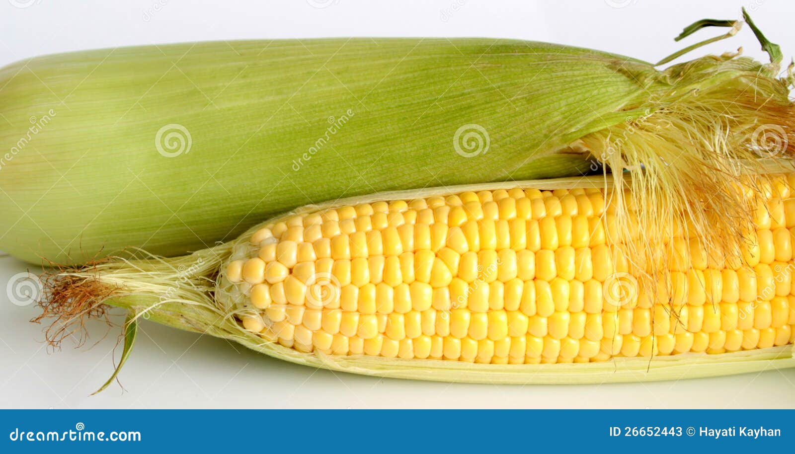 Fresh corn cobs stock image. Image of boiled, healthy - 26652443