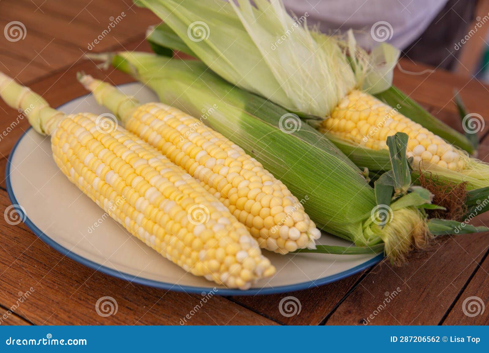 Fresh corn on the cobs stock photo. Image of food, picked - 287206562