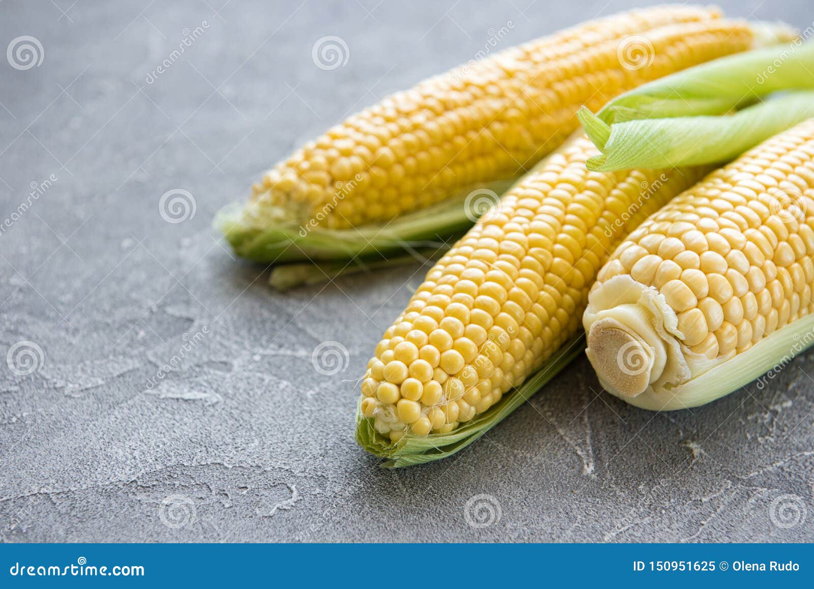 Fresh corn on cobs stock image. Image of golden, ripe - 150951625