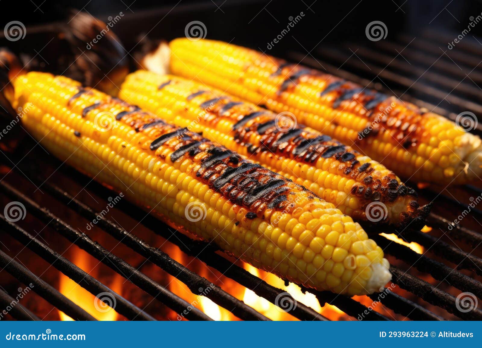 Fresh Corn Cobs Grilling Over Charcoal Stock Photo - Image of grilling ...