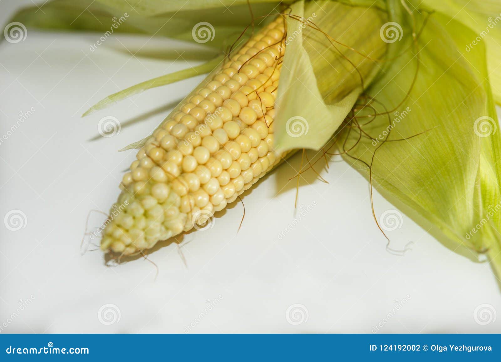 Raw corn flakes stock photo. Image of corn, golden, organic - 124192002