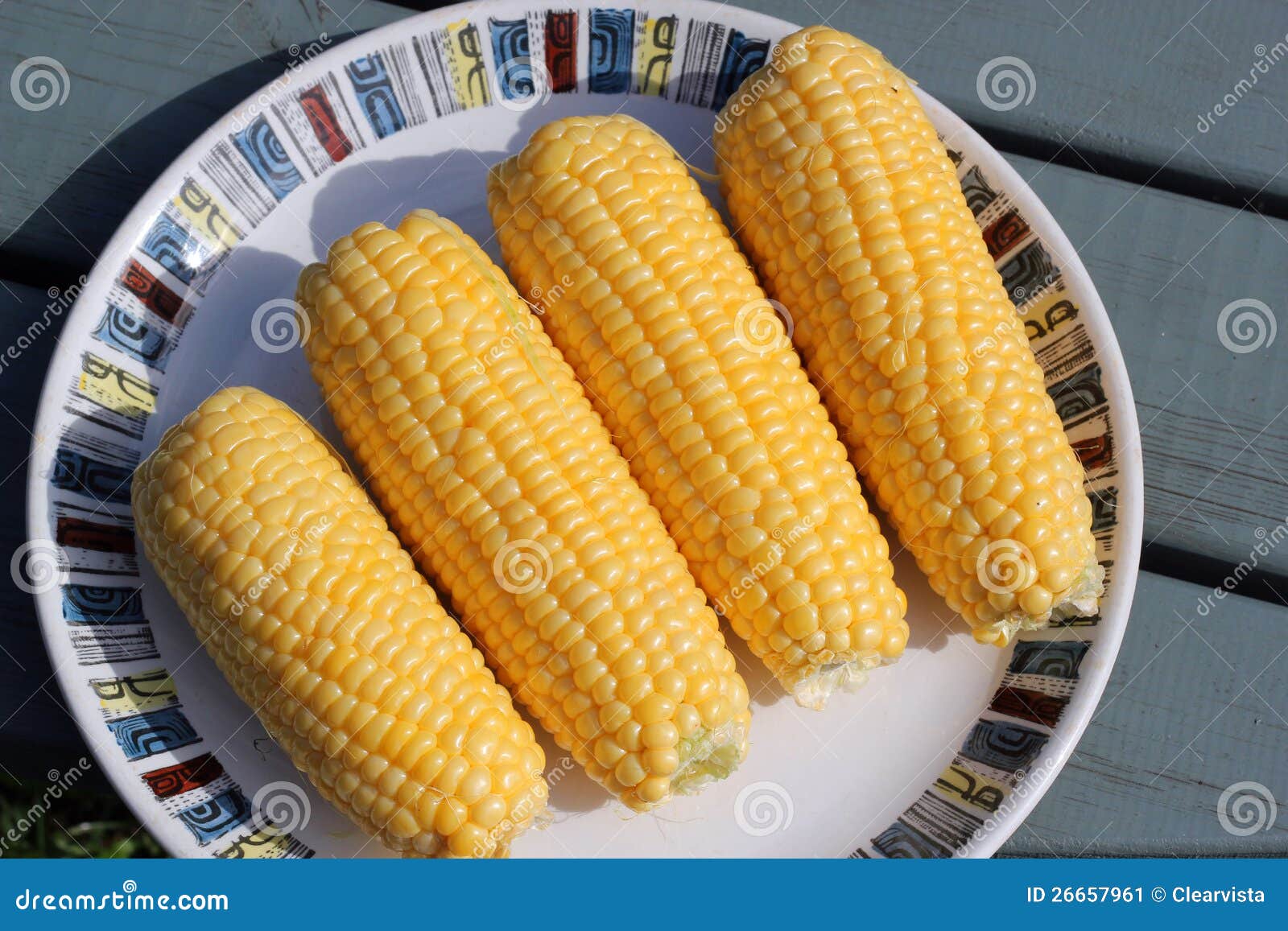 Fresh Yellow Corn Cobs Ready To Cook. Stock Image - Image of maize ...