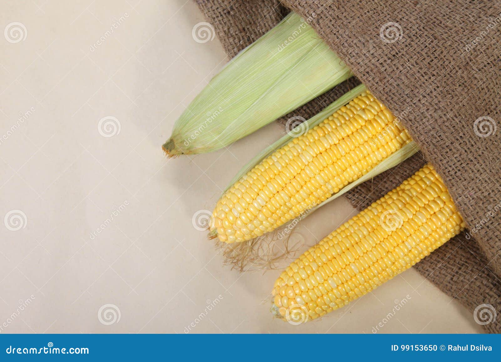 Fresh Corn on Cobs on Texture Background, Closeup, Top View Stock Photo ...