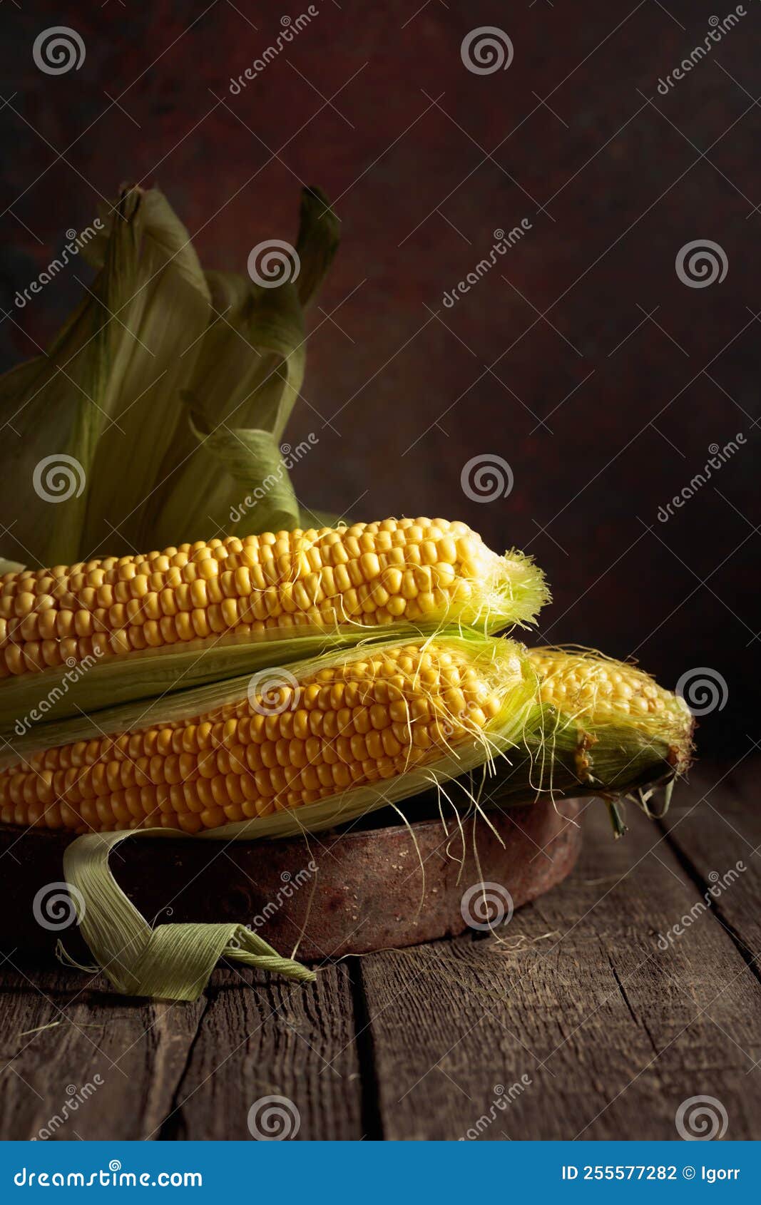 Fresh Corn on Cobs on a Wooden Table Stock Photo - Image of golden ...